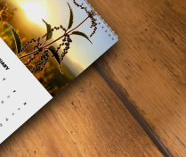 Free Online Design Tool: Easy-to-Use Templates for Beautiful Online ...